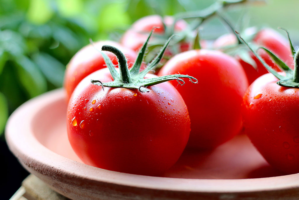 Contact us – Fitzroy finest foods